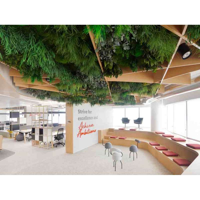 Greenarea GREEN CEILINGS Sufit warzywny w mchu i roślinach stabilizowanych