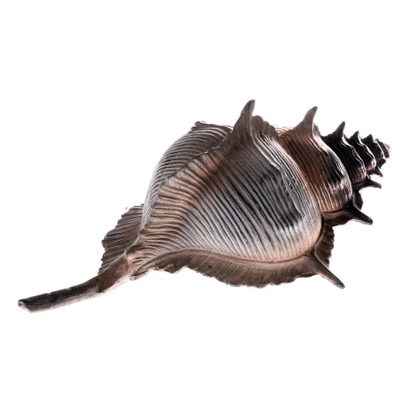 Muszla Marina 22 x 13 x 11 cm - Maximus Design